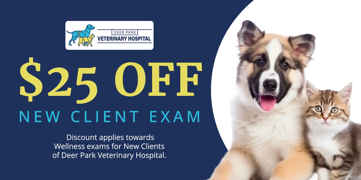 Special Offers | Deer Park Veterinary Hospital